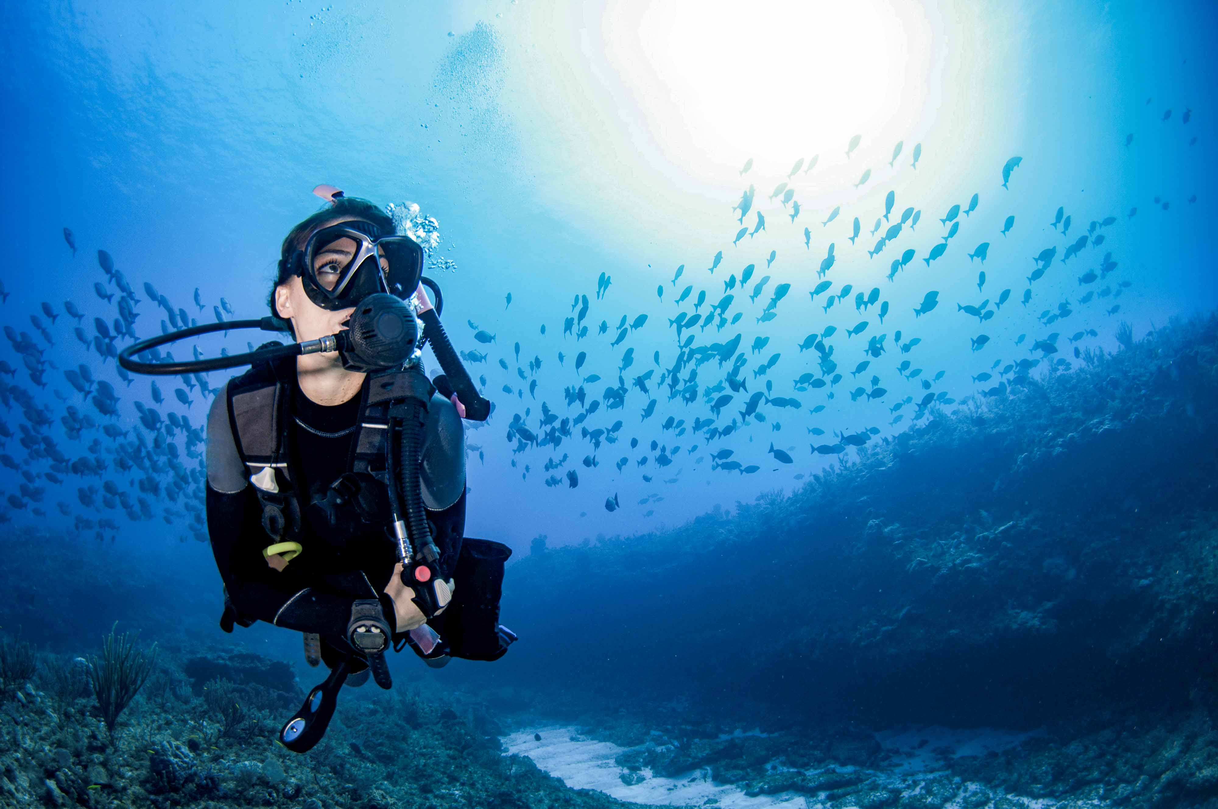 PADI Underwater Navigation Course - East Cape Explorers