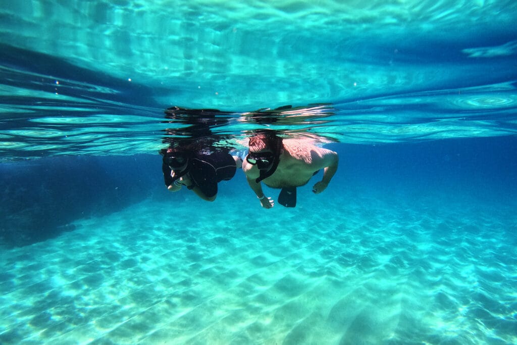 Snorkeling Tours in San José del Cabo - East Cape Explorers