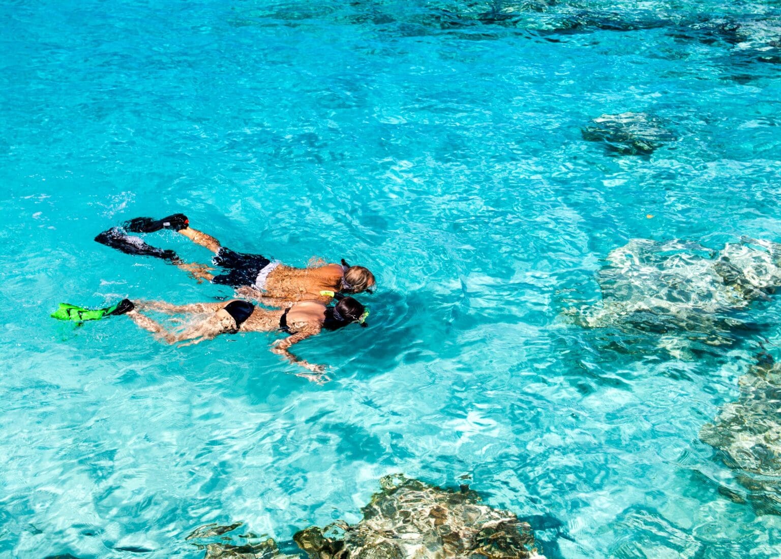 Snorkeling Tour | San José del Cabo - East Cape Explorers