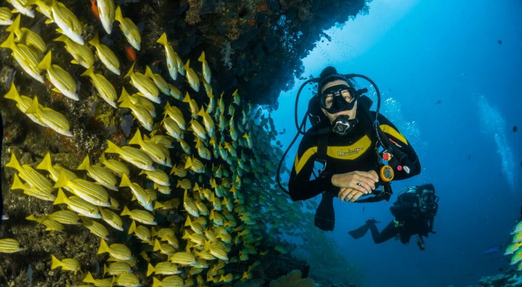 Scuba Diving in San José del Cabo - East Cape Explorers